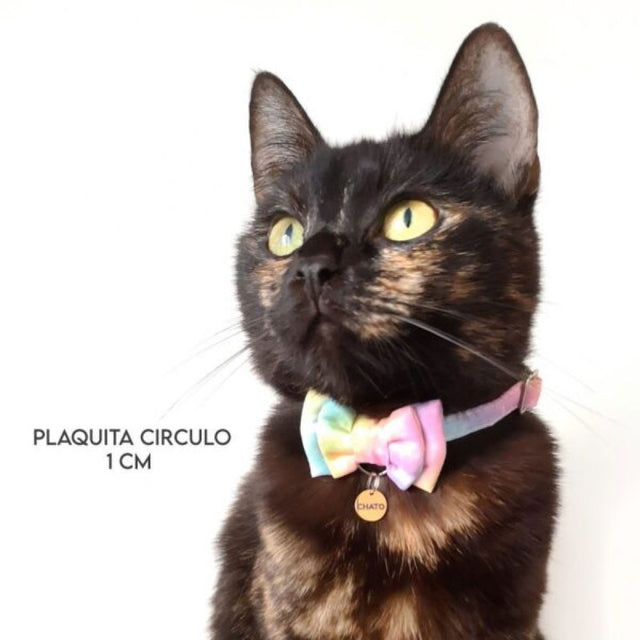 Accesorios – Marca Gato